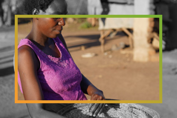 Climate-smart agriculture is reducing food waste and giving women hope ...